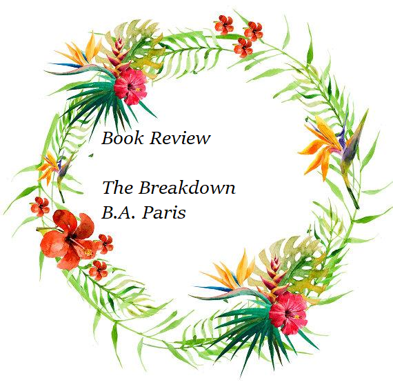 The Breakdown–Book Review – Tropical Girl Reads
