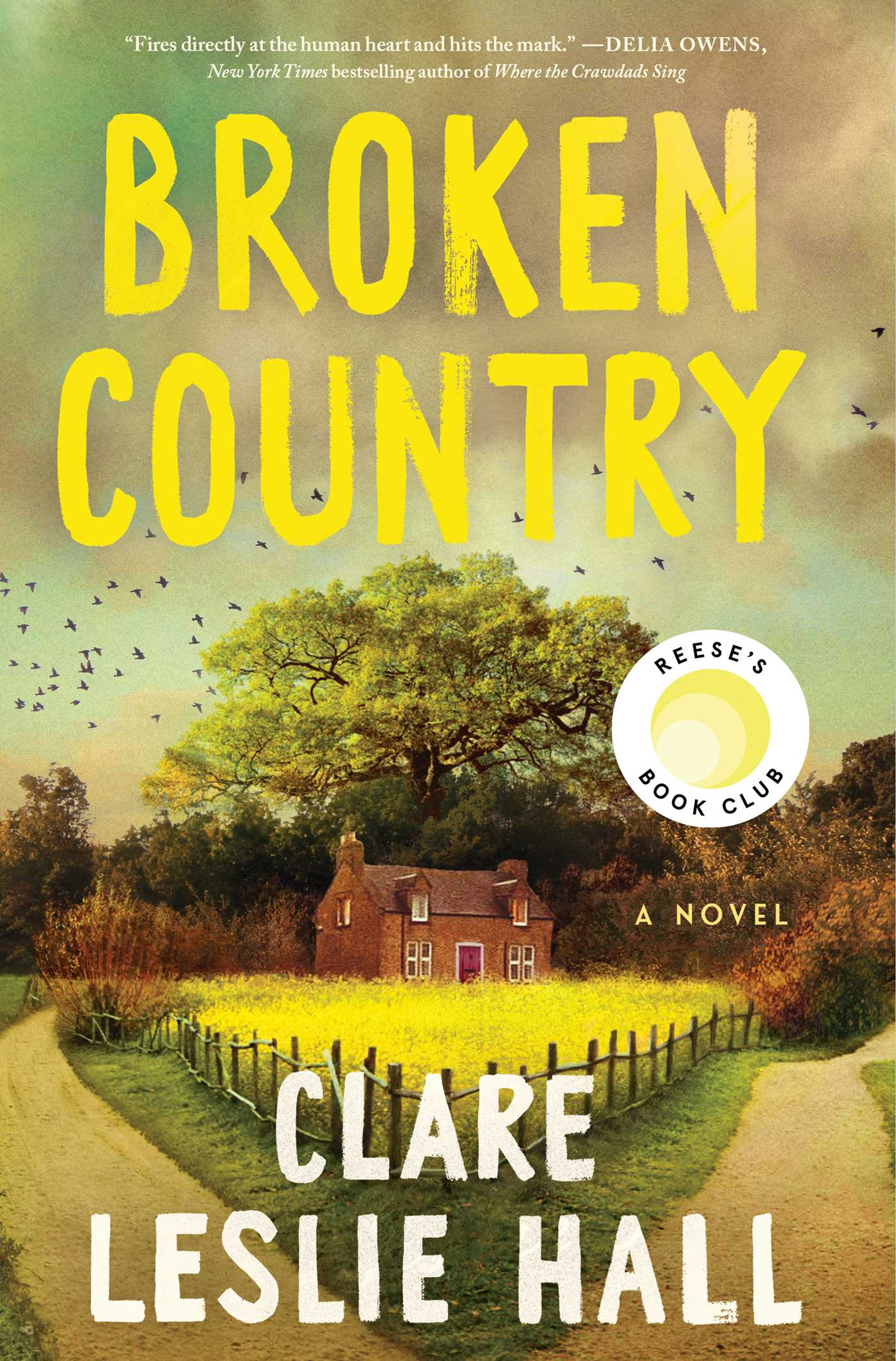 Broken Country – Book Review – Tropical Girl Reads